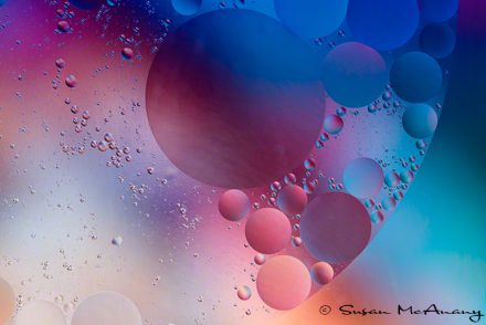 Tips for Getting Sharp Images | McAnany Photography